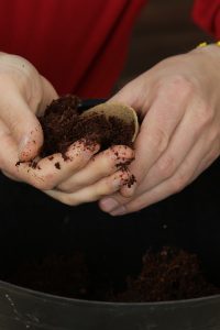 Autumn in the veggie garden | DIY Blog