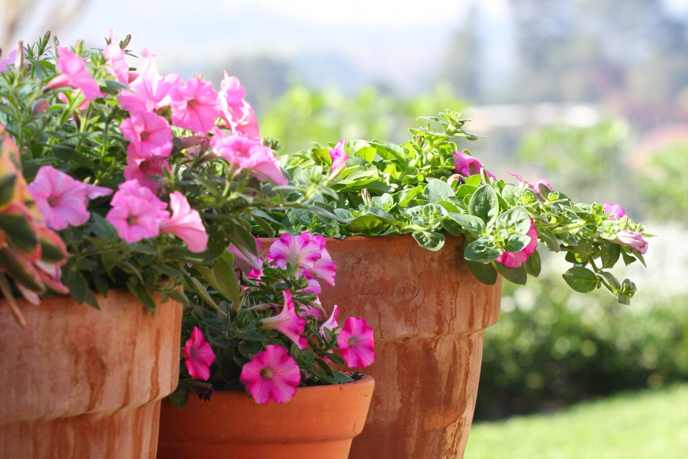 DIY Blog | By Builders Warehouse