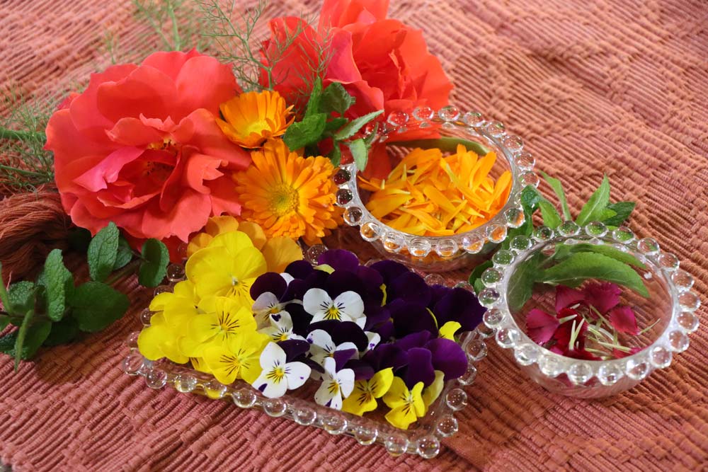 DIY Blog | By Builders Warehouse