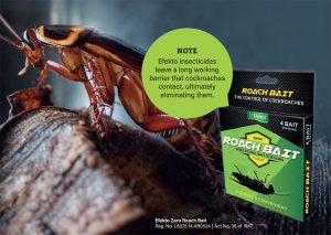Cockroach control | DIY Blog