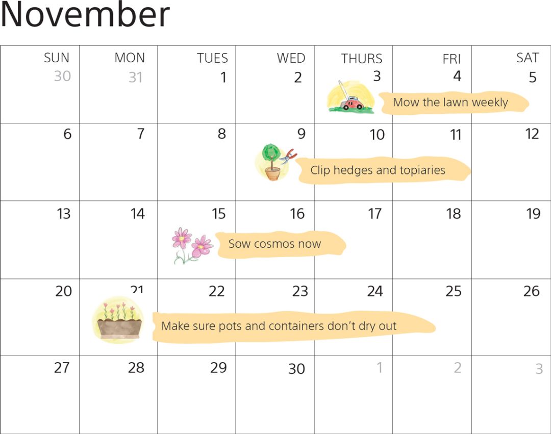 Spring / Summer Garden Calendar – November | DIY Blog