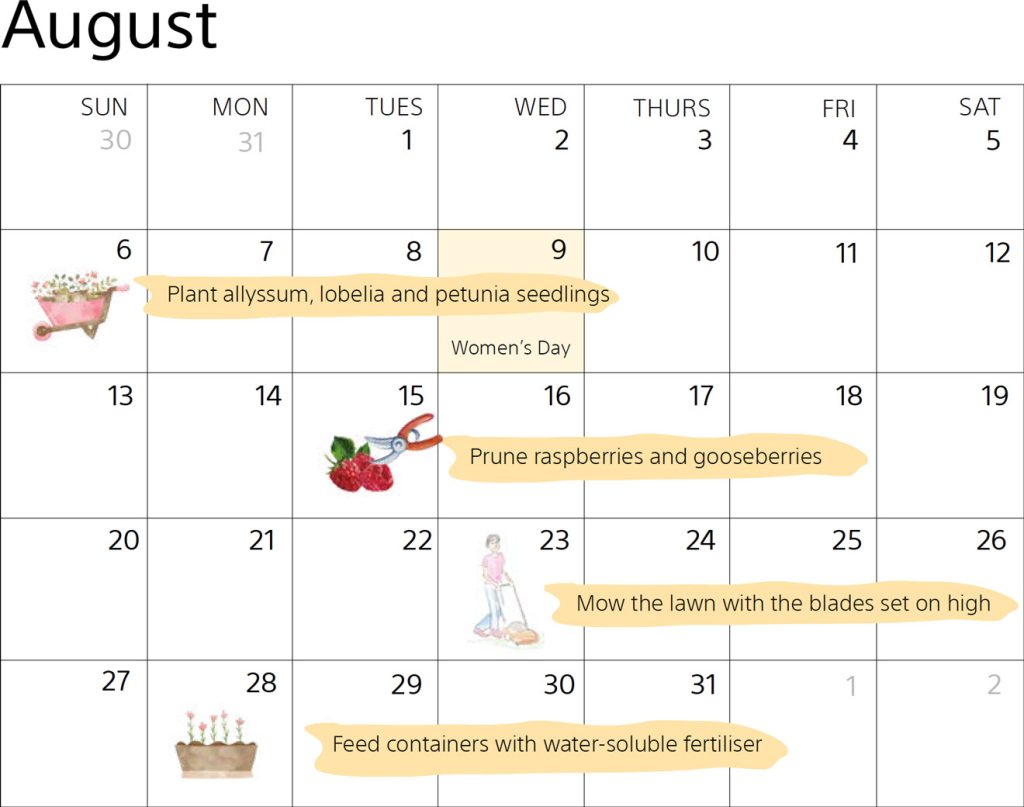 Autumn / Winter Garden Calendar: August | DIY Blog