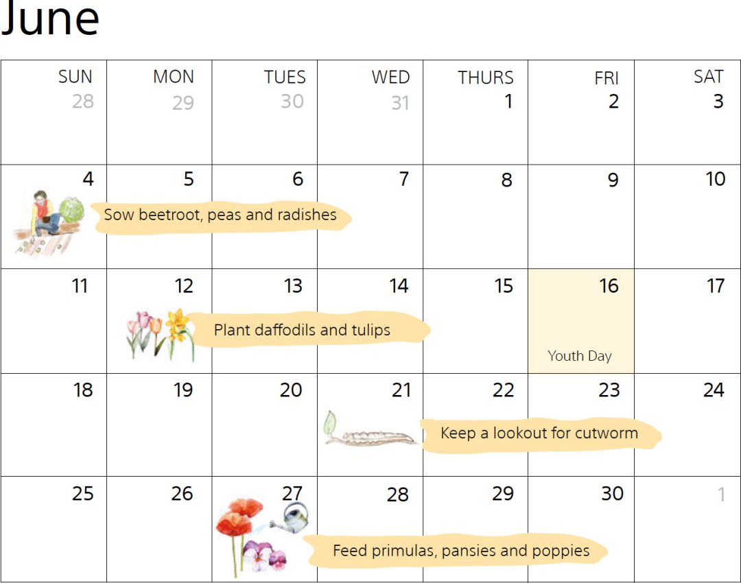 Autumn / Winter Garden Calendar: June | DIY Blog