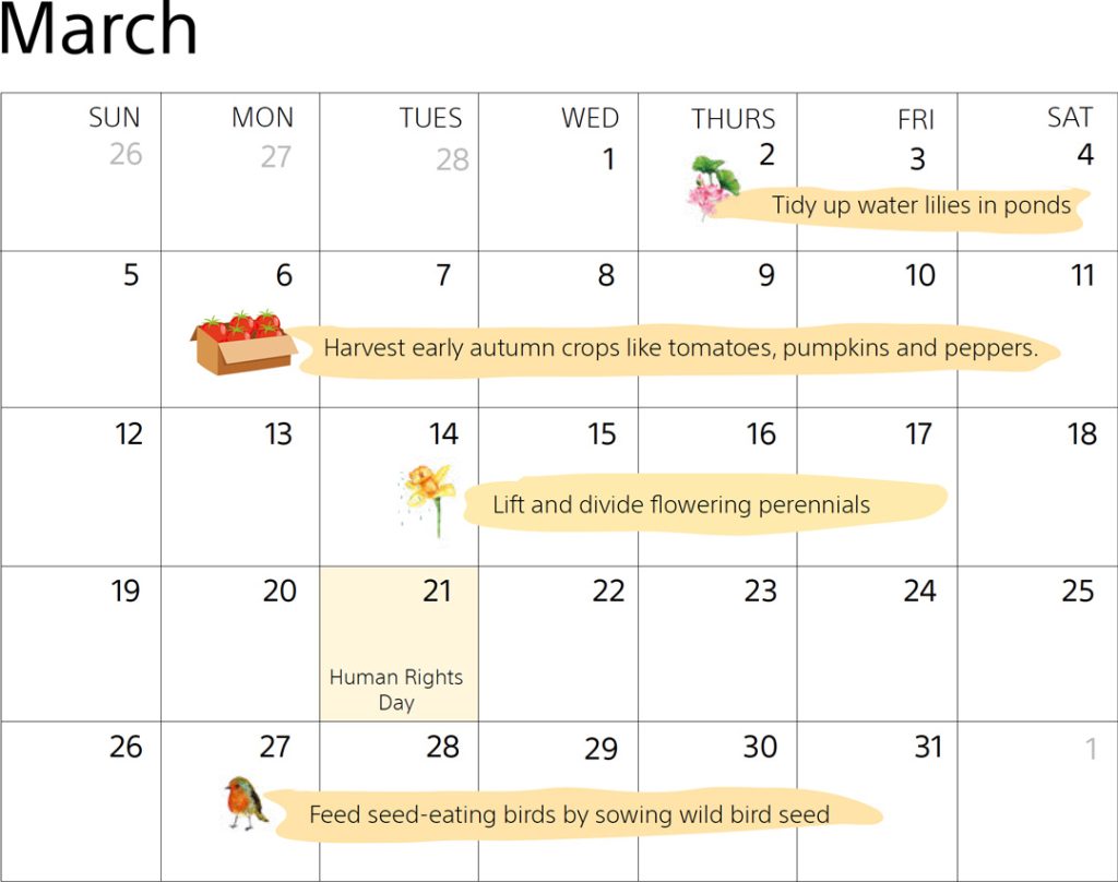 Autumn / Winter Garden Calendar: March | DIY Blog