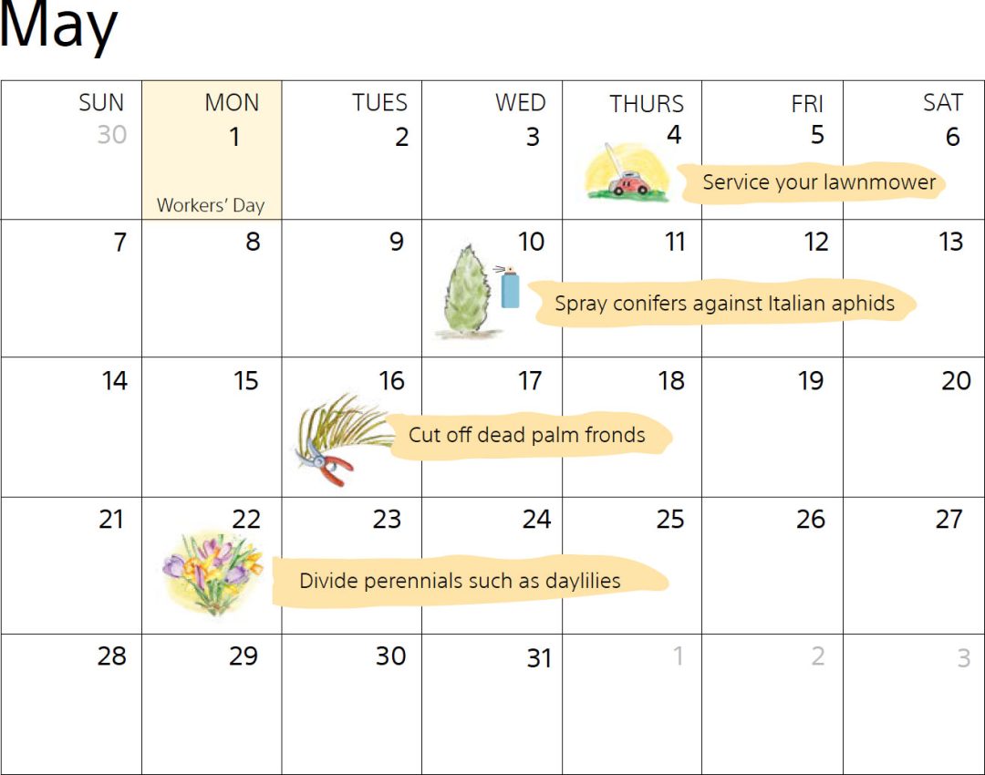 Autumn / Winter Garden Calendar: May | DIY Blog