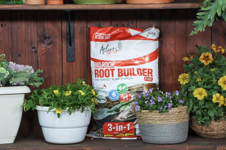How and why to use Bio Rock in your garden | DIY Blog