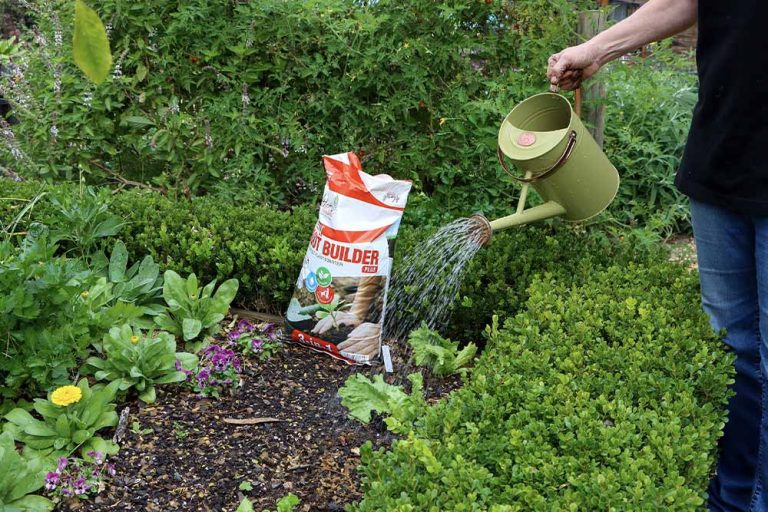 How and why to use Bio Rock in your garden | DIY Blog