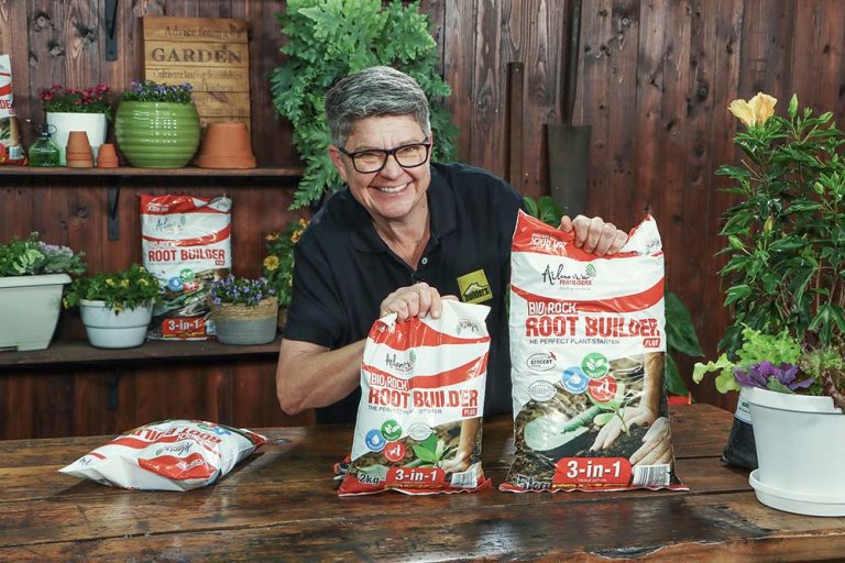 How and why to use Bio Rock in your garden | DIY Blog