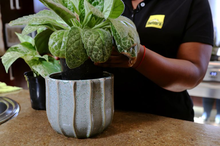 DIY Blog | By Builders Warehouse