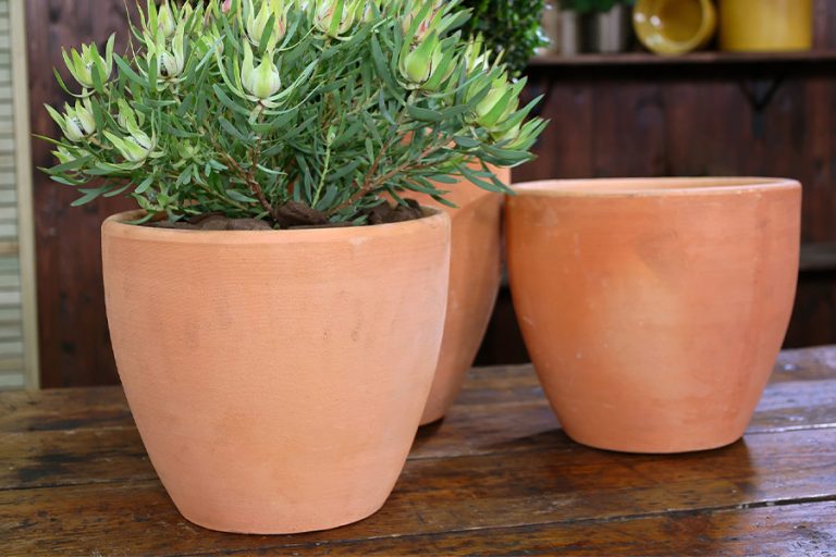 Choosing the perfect pot for your garden | DIY Blog